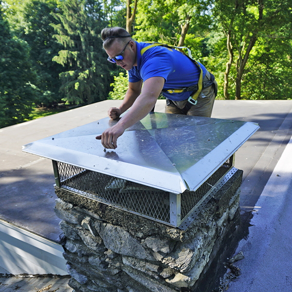 Make Sure to Avoid Tree Limbs Hanging Over Your Chimney